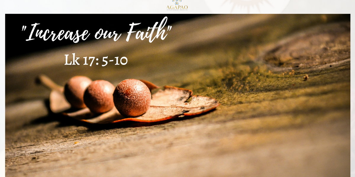Gospel Lectio Divina for Twenty-seventh Sunday in Ordinary Time - Octo ...